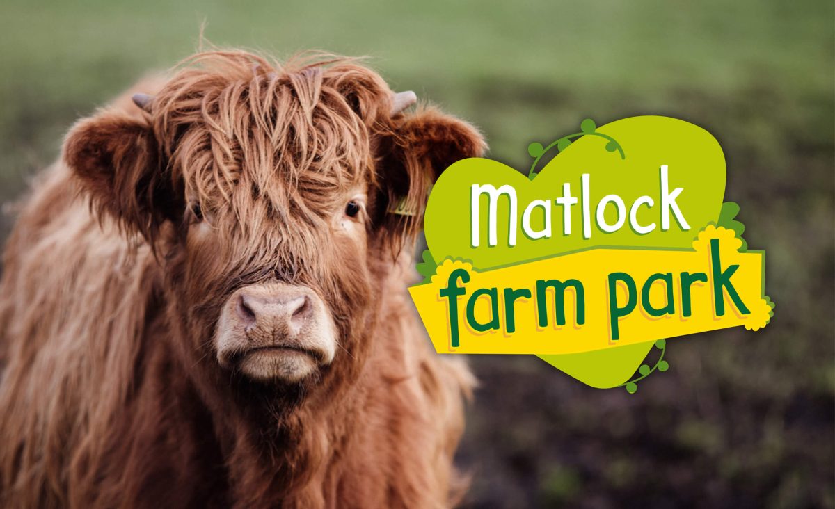 Matlock Farm Park | Crush Design